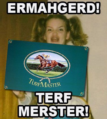 ermahgerd horse