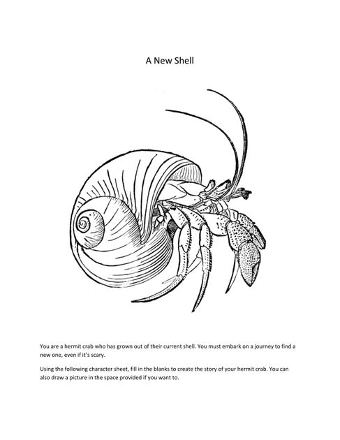 A New Shell | RPG Item | RPGGeek