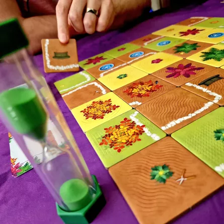 Gardeners first impressions | Board Game Diaries