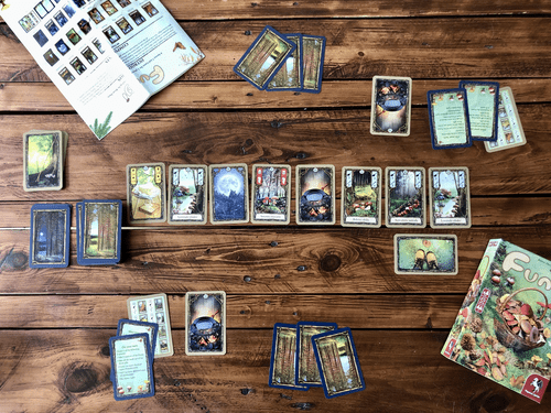 Fungi - a great two player game | Morels