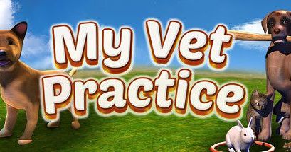 My Vet Practice | Video Game | VideoGameGeek