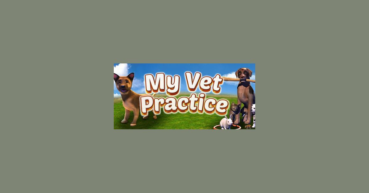 My Vet Practice | Video Game | VideoGameGeek