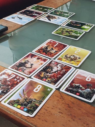 LadybugMeeple's blog | BoardGameGeek