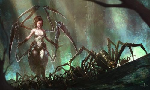 arachne database