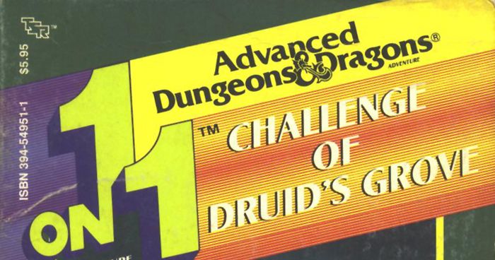 1 on 1 Adventure Gamebooks: Challenge of Druid's Grove | Board Game ...