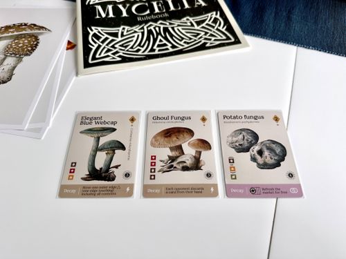 Little star symbol on the cards | Mycelia