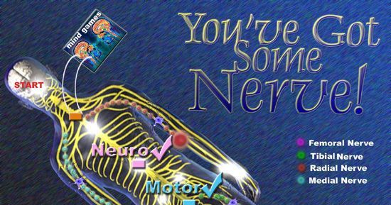 You've got Some Nerve! | Board Game | BoardGameGeek