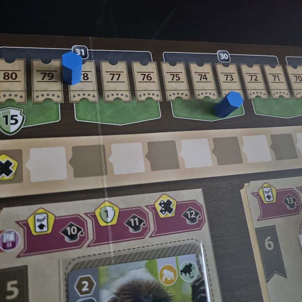 Let's Review More: Ark Nova | Ark Nova