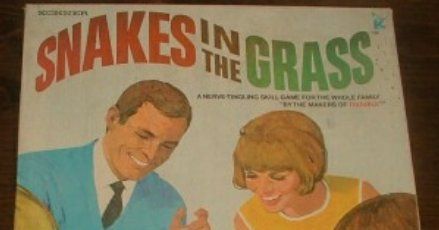 Snakes in the Grass | Board Game | BoardGameGeek