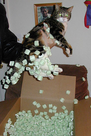 CLS Games, Atlanta's Games Warehouse - Be Careful When Placing An Order!