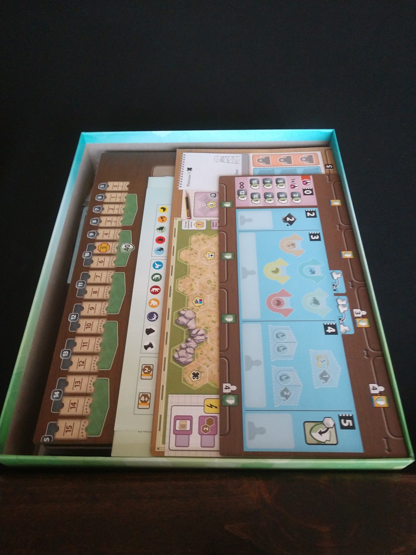 Fitting it All Back in the Box—My Storage Solution | Ark Nova