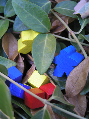 Habits and Habitat of the Elusive Wild Meeple