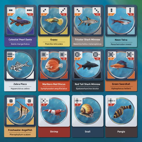 Fish Tank – Spellenblog SpinLi