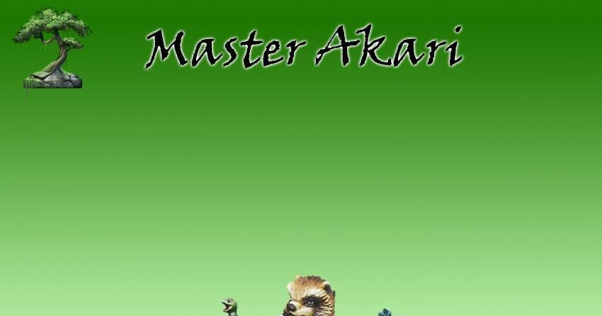 Bushido: Master Akari | Board Game | BoardGameGeek