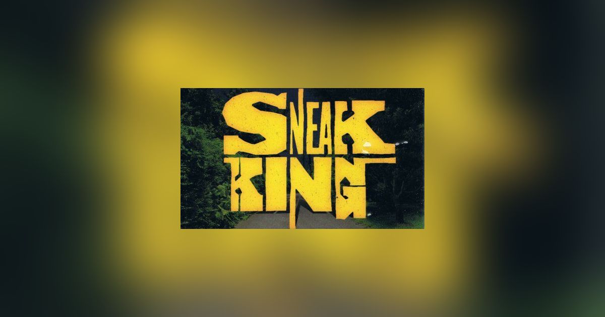 Sneak King | Video Game | VideoGameGeek