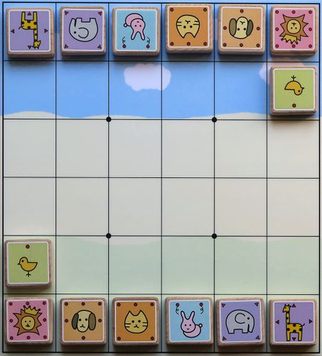 Shogi and Shogi variants