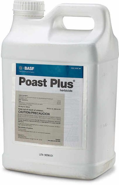 Today's Poast | Everyone Needs A Shed | BoardGameGeek