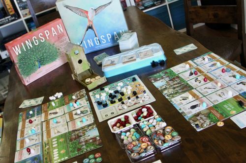 Wingspan Asia - Review | Wingspan Asia