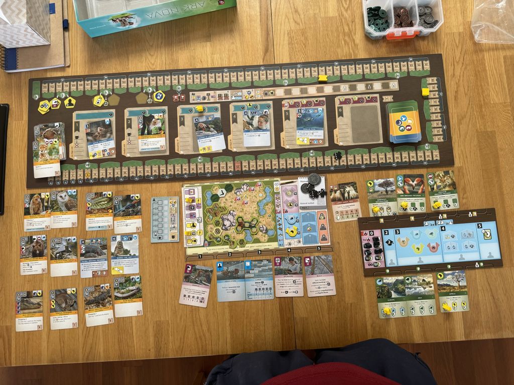 Ark Nova common setup challenge, February 2024 | Ark Nova