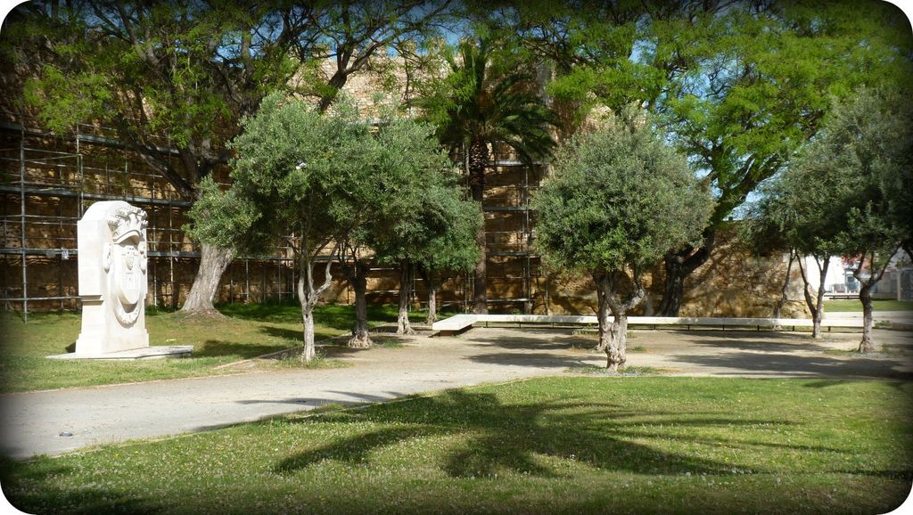 ...pirates of the grove... | Browsing Games | BoardGameGeek