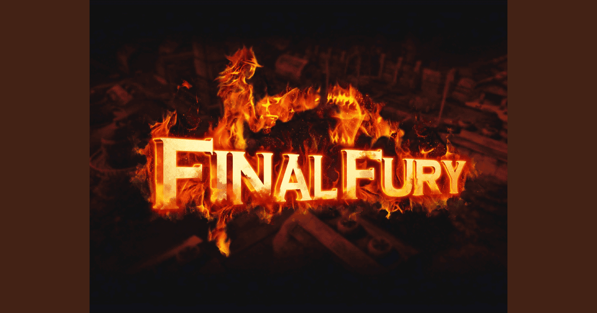Final Fury Pro | Video Game | VideoGameGeek