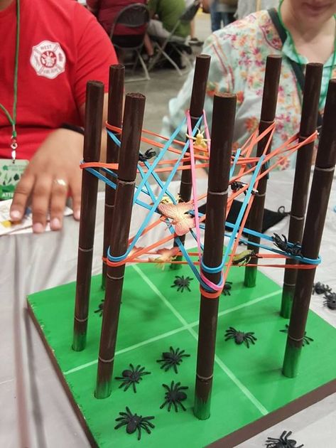 Spider's Cradle | Board Game | BoardGameGeek