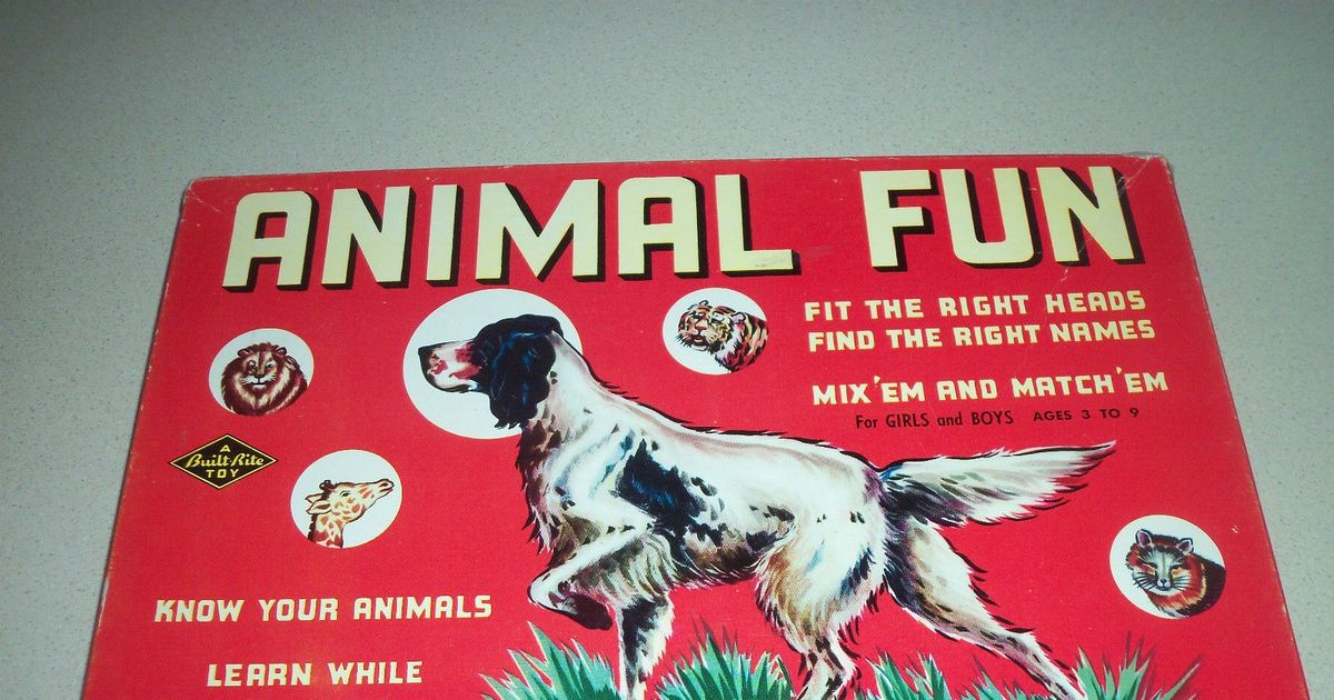 Animal Fun | Board Game | BoardGameGeek