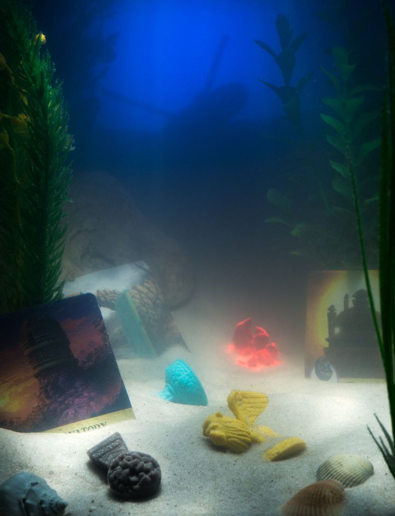 Forbidden Island | Board Game Photos | BoardGameGeek