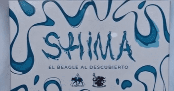 Shima | Board Game | BoardGameGeek