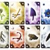 Alchemists | Board Game | BoardGameGeek
