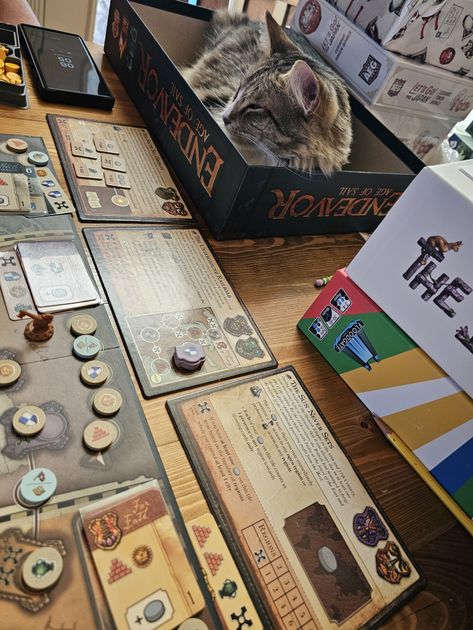 Feeling Challenged - Day 70 | Feeling Challenged | BoardGameGeek