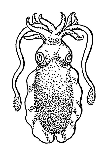 Cuttle | Board Game | BoardGameGeek