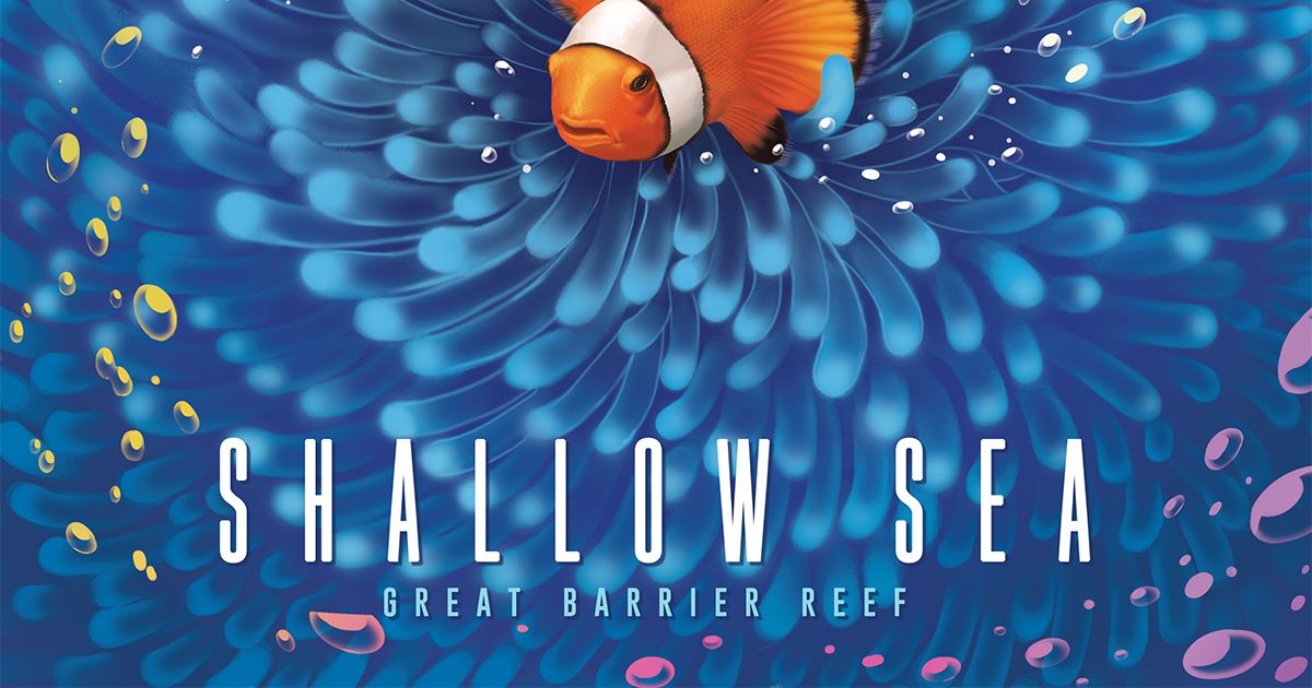 Shallow Sea | Board Game | BoardGameGeek