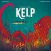Kelp: Shark vs Octopus | Board Game | BoardGameGeek