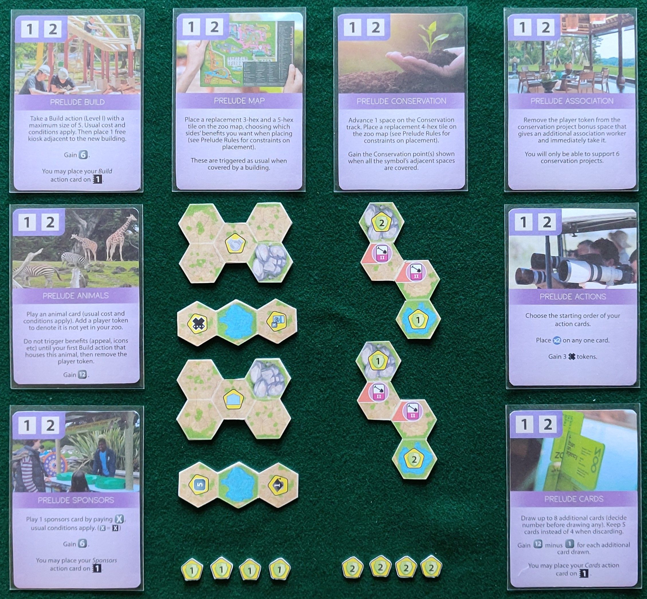 Ark Nova Prelude: a fan made expansion | Ark Nova