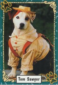 Wishbone Card Game | Board Game | BoardGameGeek