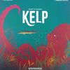 Kelp: Shark vs Octopus | Board Game | BoardGameGeek