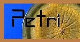 Petri | Board Game | BoardGameGeek