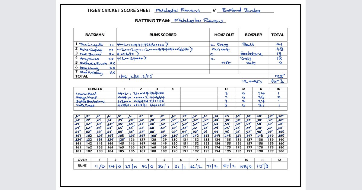 Pocket Cricket: Test play of 7-a-Side 12 over game | Trickylight ...