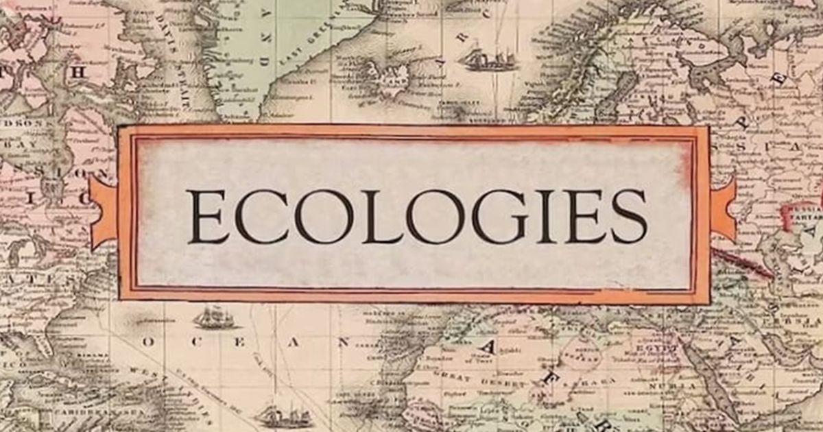 Ecologies: Faux Book Box | Board Game Accessory | BoardGameGeek