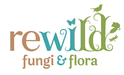 Rewild: Fungi & Flora | Board Game | BoardGameGeek