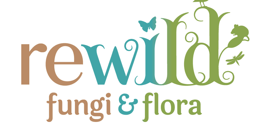Rewild: Fungi & Flora | Board Game | BoardGameGeek