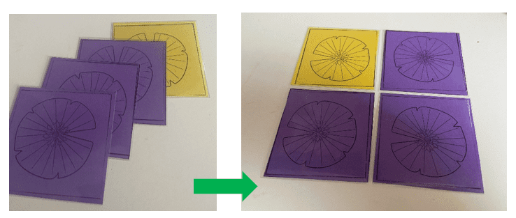 MANCALA FROGS [2024 Two Player Print and Play Game Design Contest] [2P ...