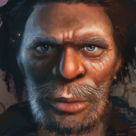 Neanderthal board game | Video Game | VideoGameGeek
