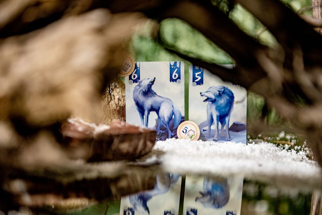 Lone Wolves - Review @ BoardGameColors | Lone Wolves