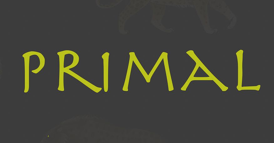 PRIMAL | Board Game | BoardGameGeek