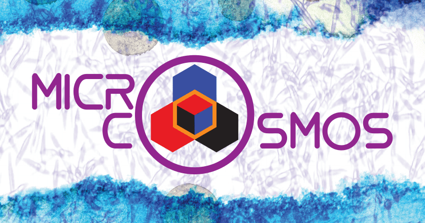 Microcosmos | Board Game | BoardGameGeek