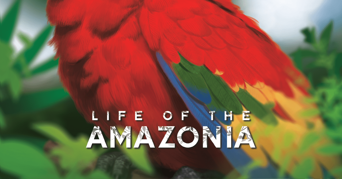 Life of the Amazonia | Board Game | BoardGameGeek