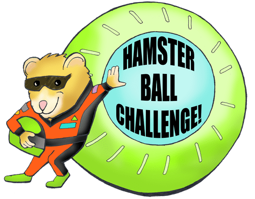 hamster race rules
