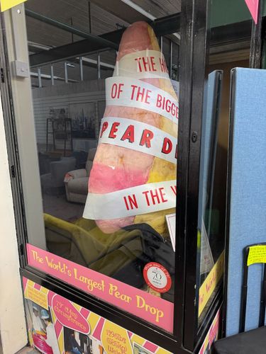 world's largest pear drop